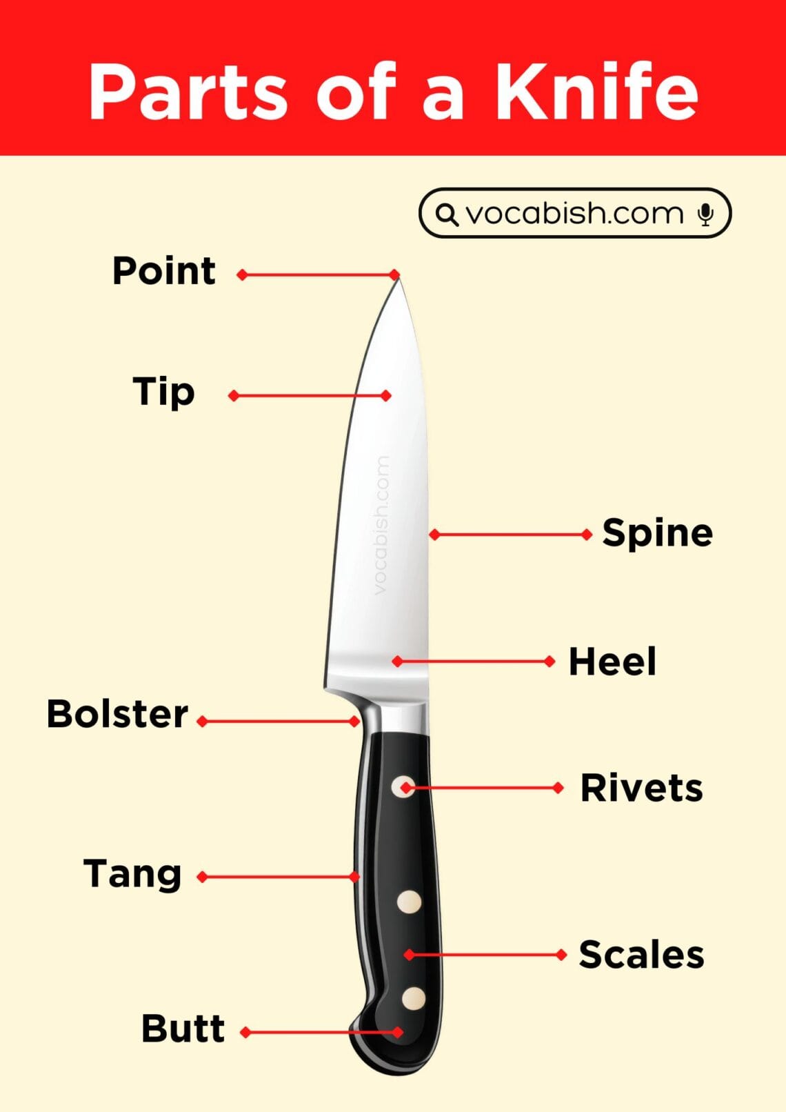 Parts of Knife: Their Functions and Diagram | Vocabish