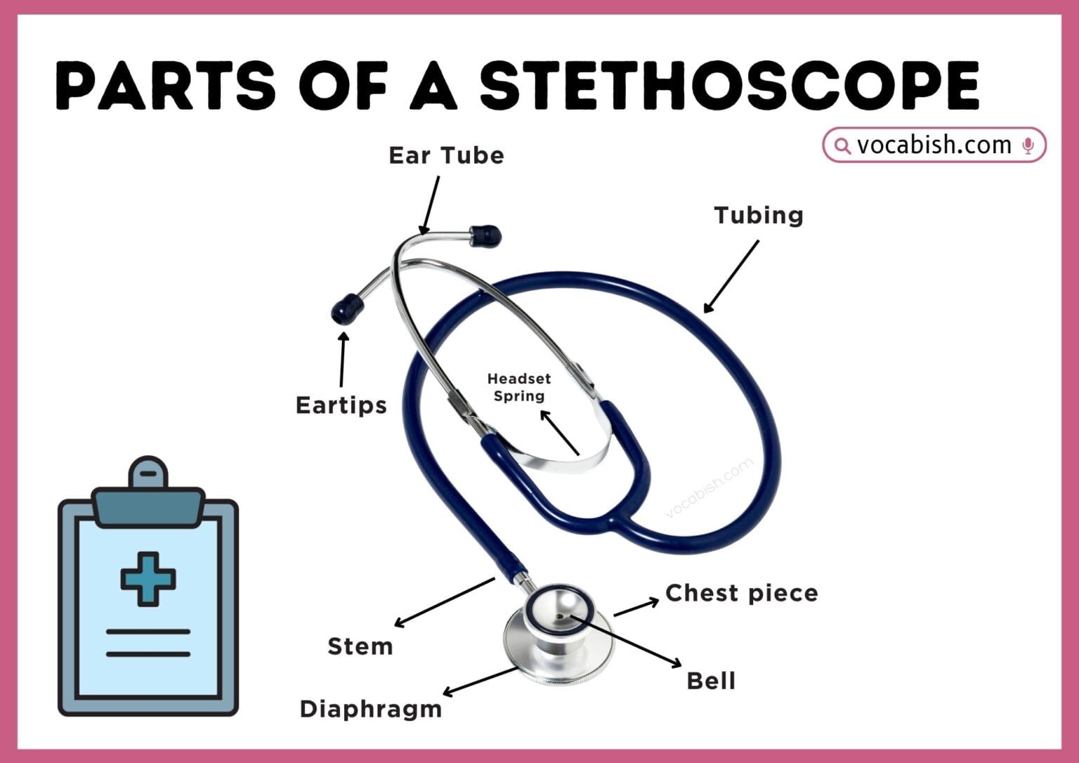 Parts of a Stethoscope: Their Functions and Diagram | Vocabish