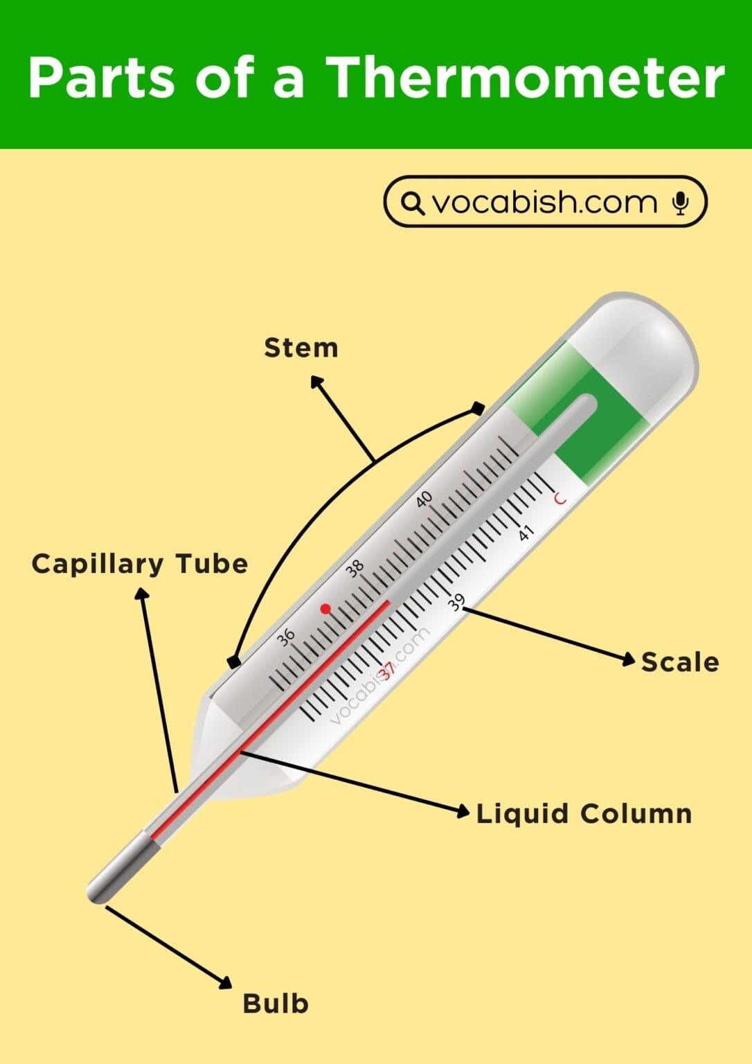 Parts of a Thermometer: Their Functions and Diagram | Vocabish