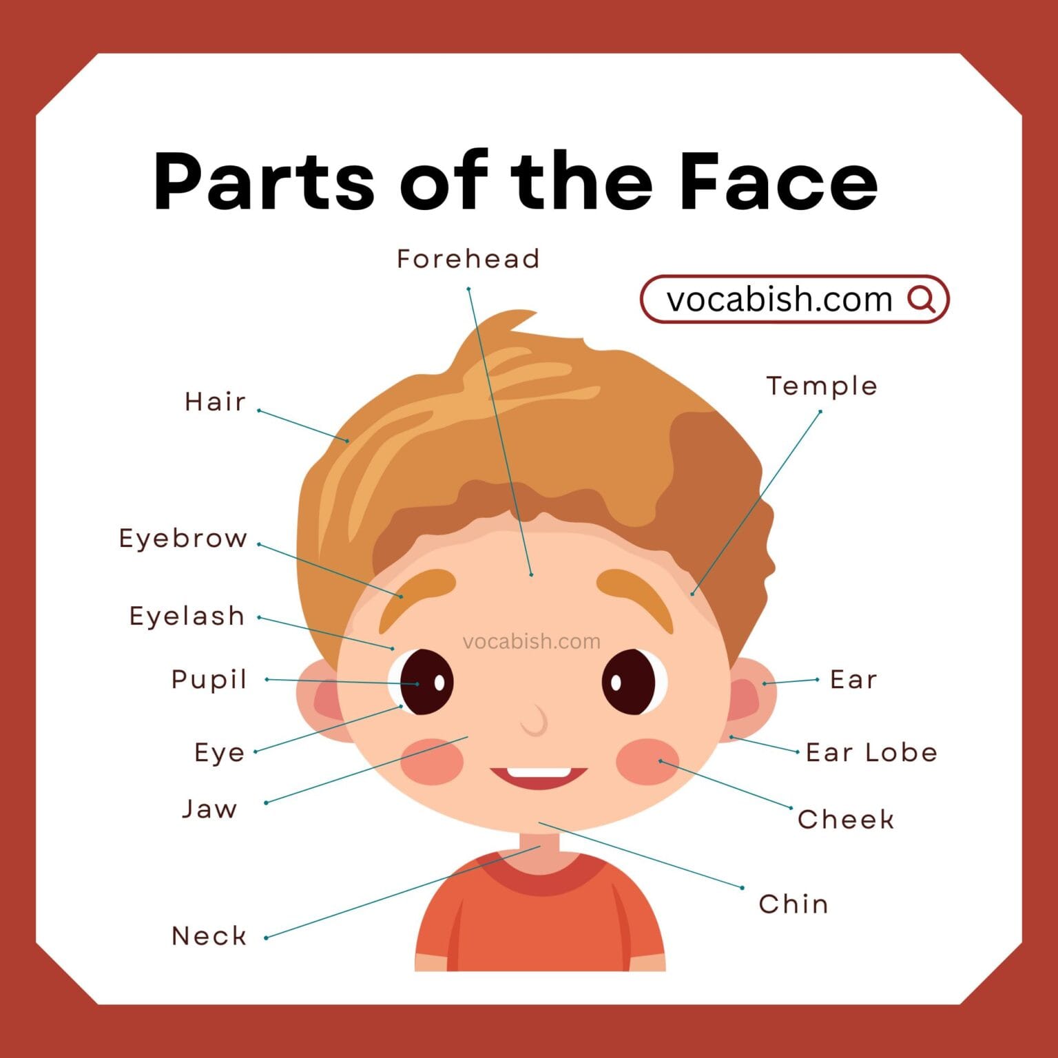 Parts of the Face in English | Face Parts Name with Pictures | Vocabish