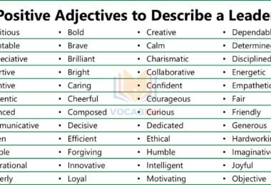 Positive Adjectives to Describe a Person for Work in English | Vocabish