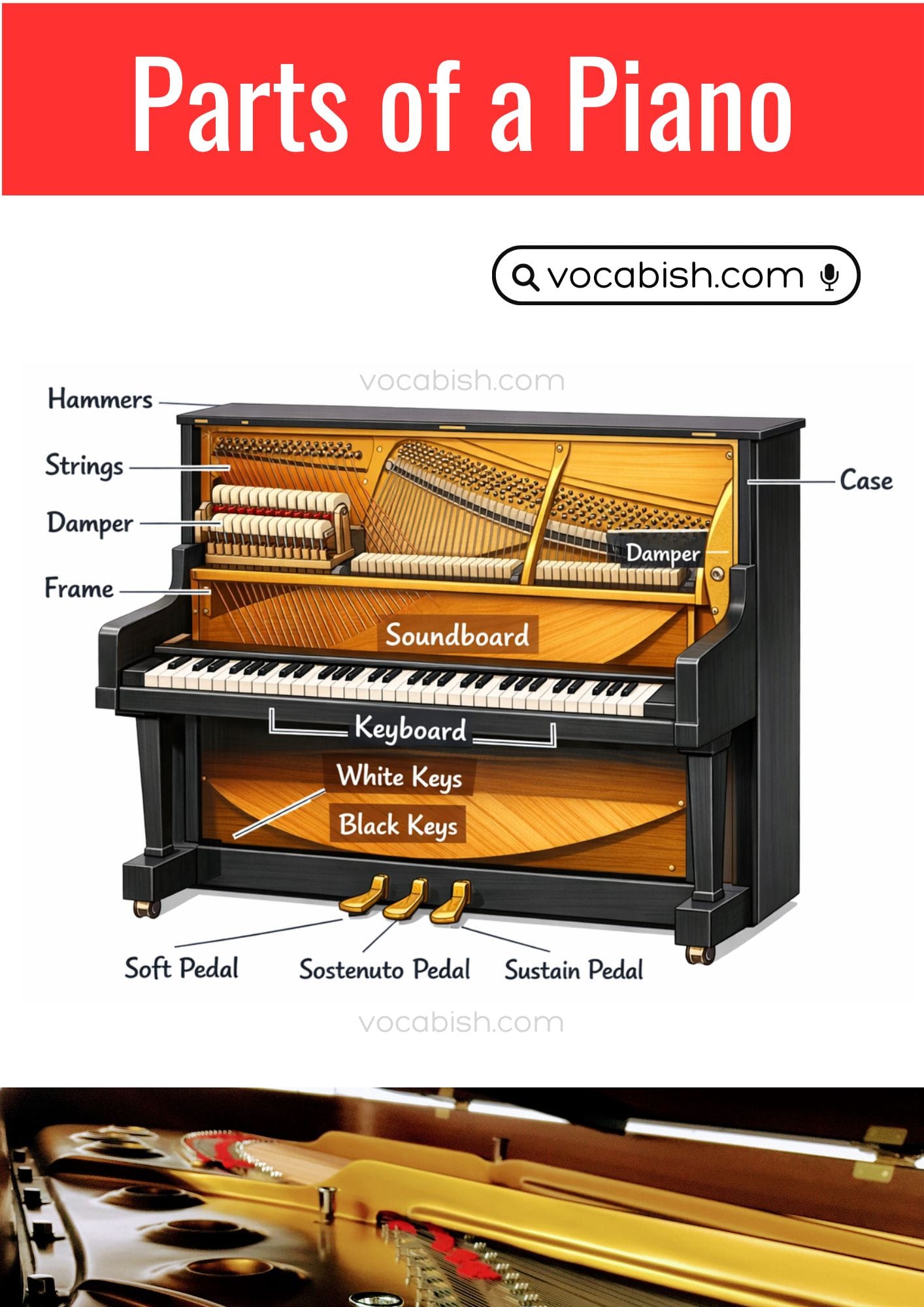 Parts of a Piano with Their Functions and Diagram | Vocabish