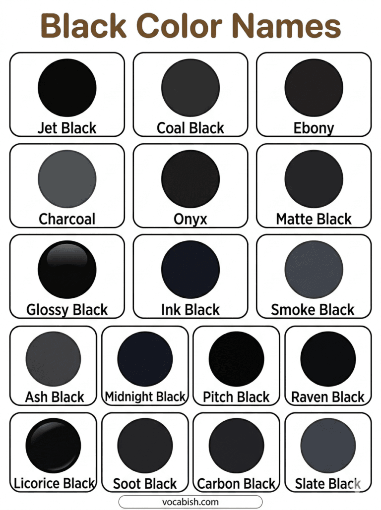 Black Color Names in English – Learn Shades and Uses | Vocabish