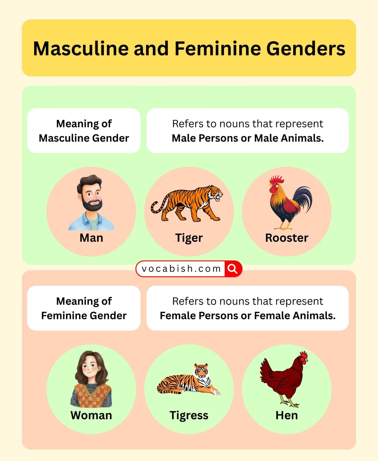 Masculine and Feminine Genders: Meaning, Rules, and Examples
