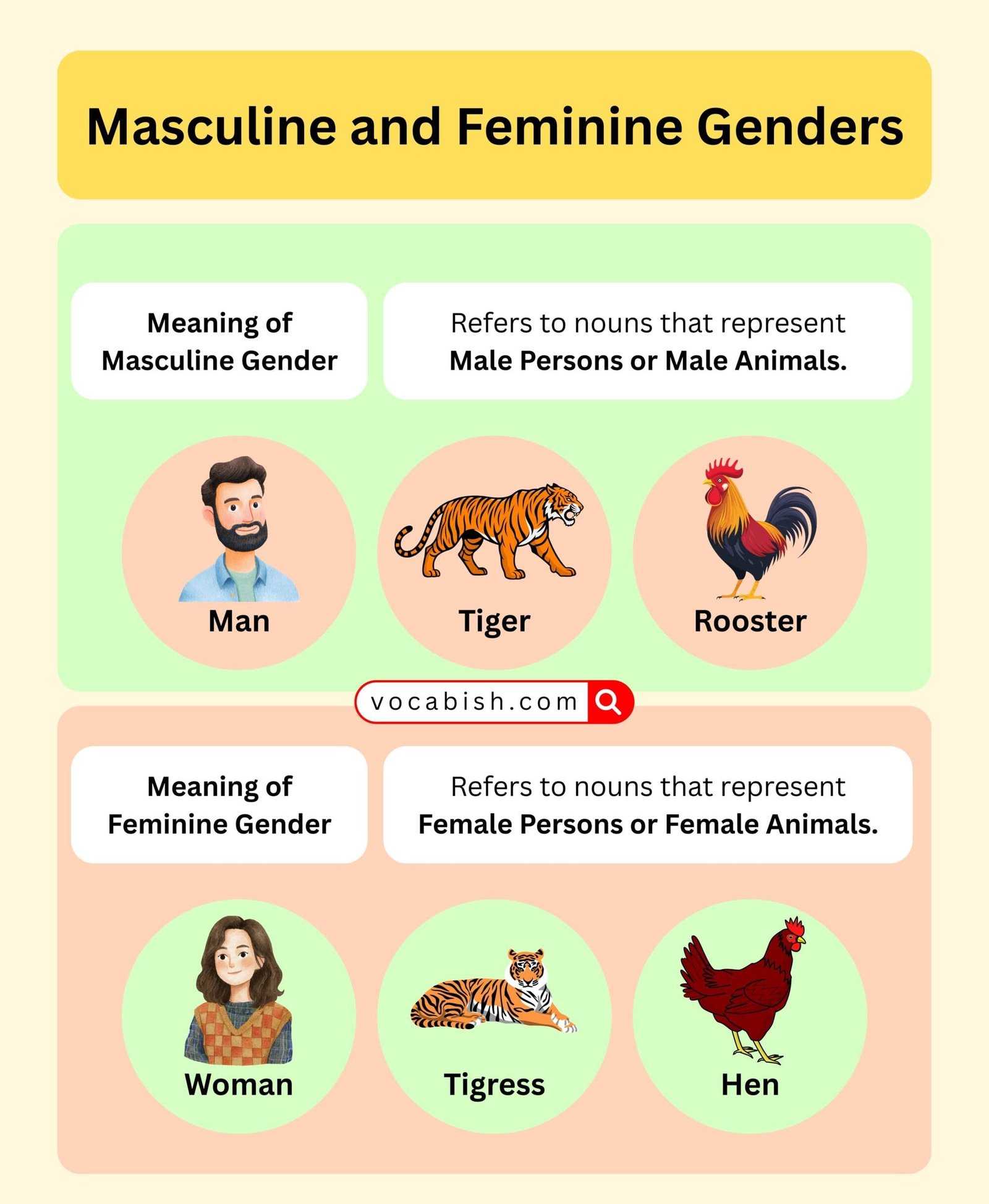 Masculine and Feminine Genders: Meaning, Rules, and Examples