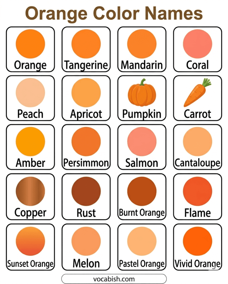 Orange Color Names with Uses, Shades, and Color Codes | Vocabish