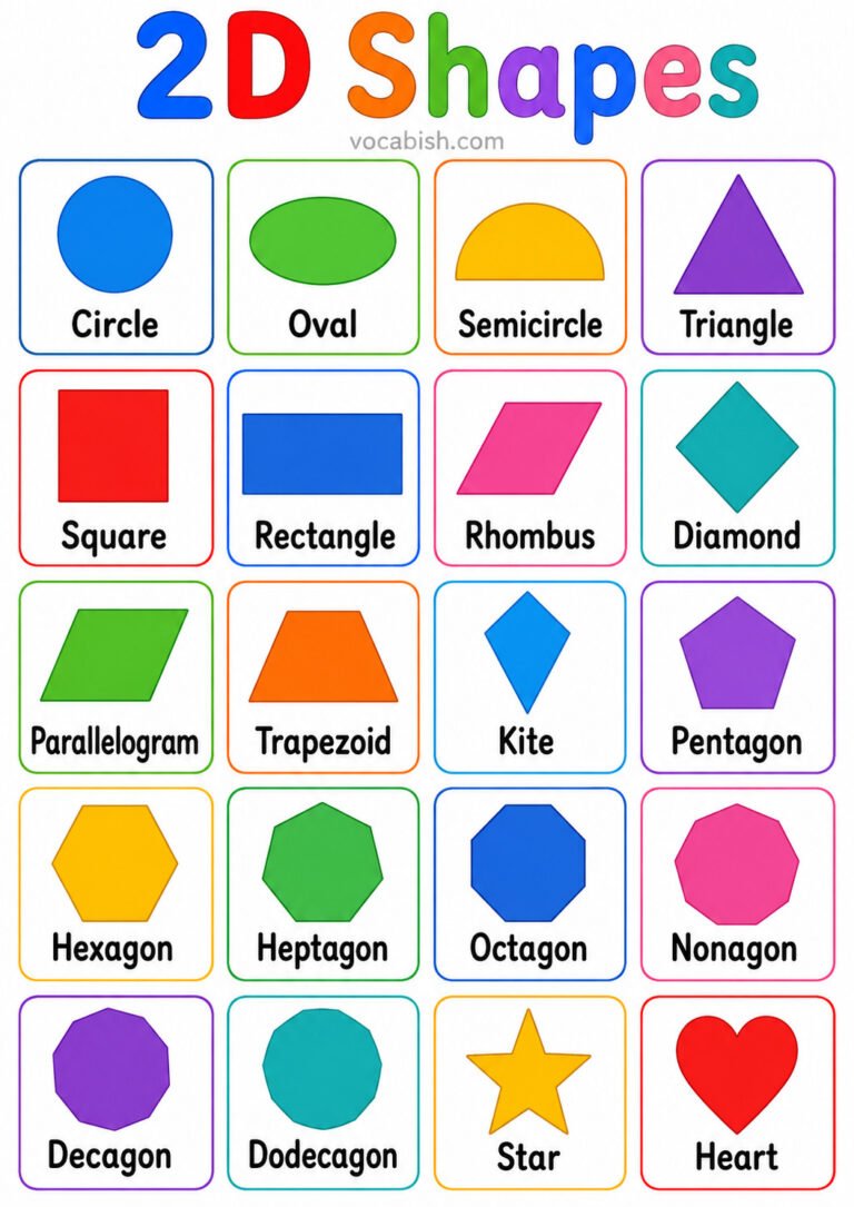 2D and 3D Shapes - A Complete Guide with Names and Pictures | Vocabish
